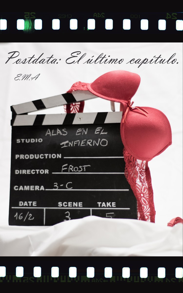 Postdata: El último capítulo- Libro – E.M.A